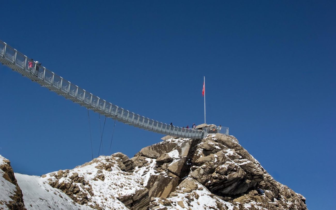 Les Diablerets: An Easy Glacier Walk Suitable To Everyone