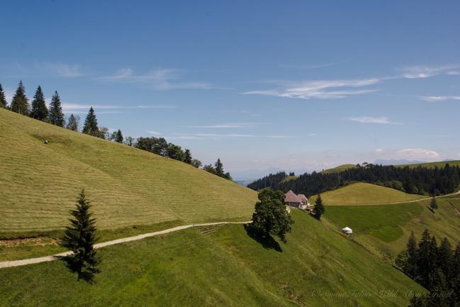 A Blissful Hike in the Emmental Region