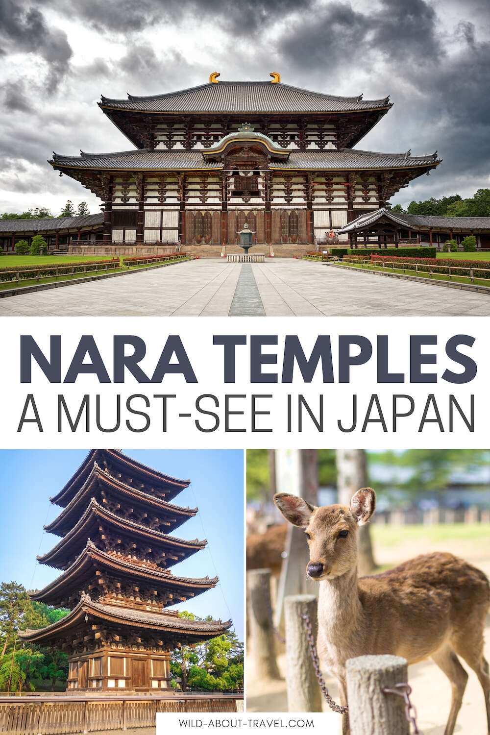 A Day Trip To Nara, Discovering Beautiful Temples And Shrines