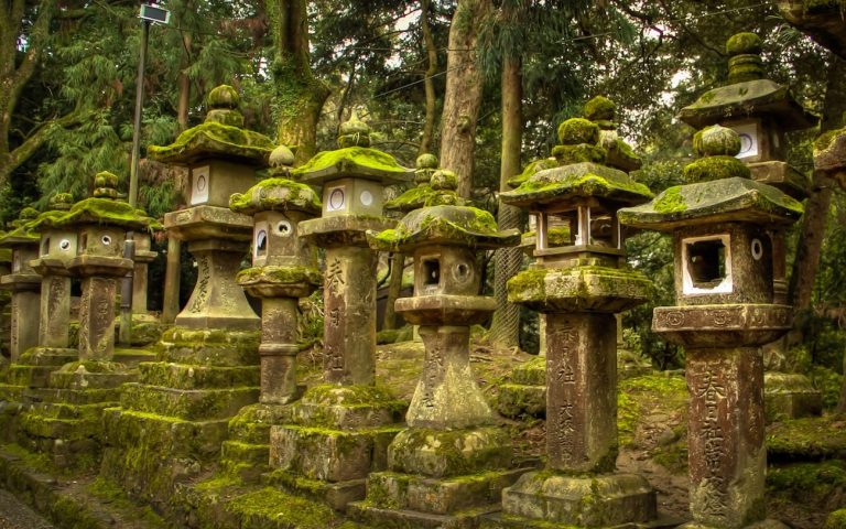 A Day Trip To Nara, Discovering Beautiful Temples And Shrines