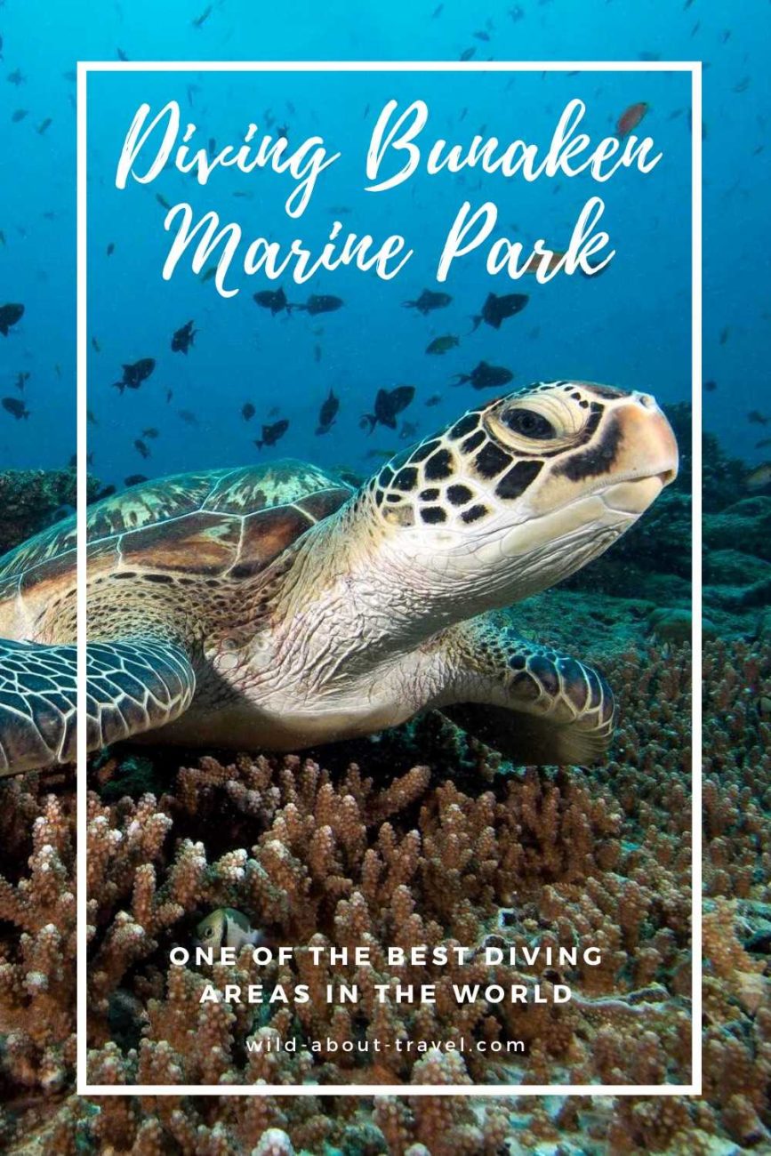 Bunaken Marine Park: Discover One Of The Best Diving Areas In The World