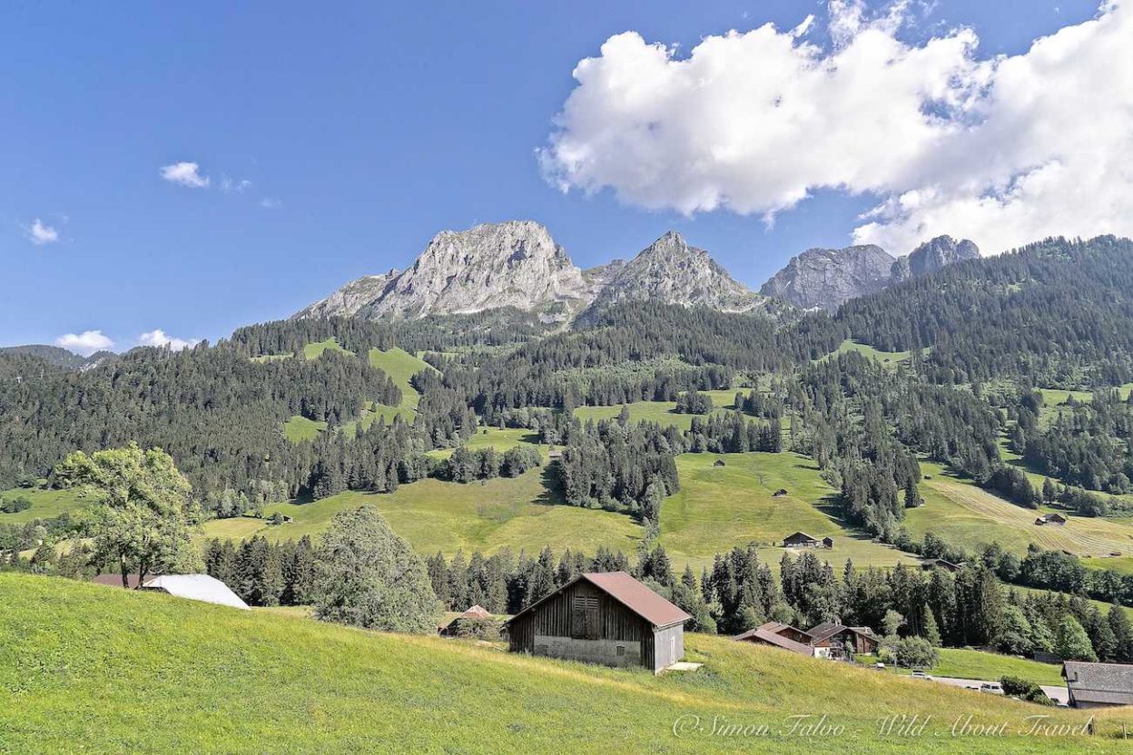 Most Scenic Train Rides In Switzerland. Discover The Best Of The Alps